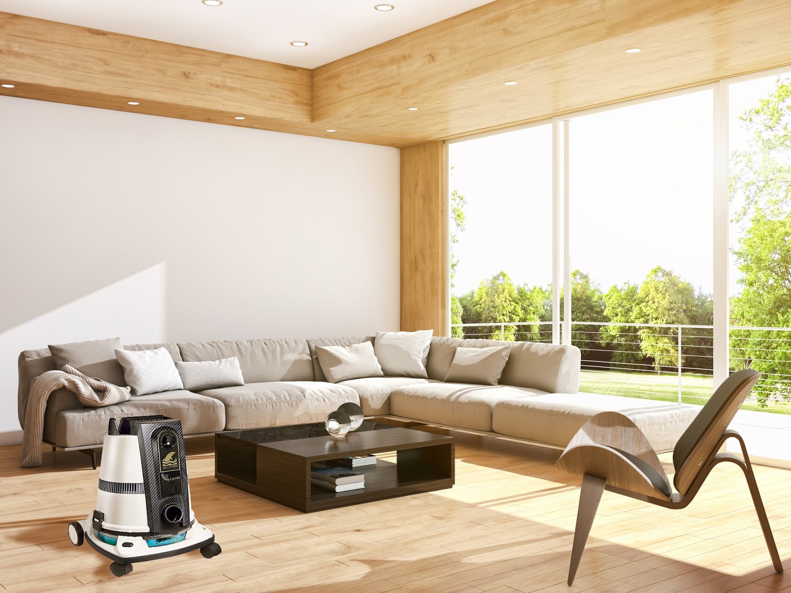 Aspirateur Delphin – Test et avis | Le Meilleur Avis