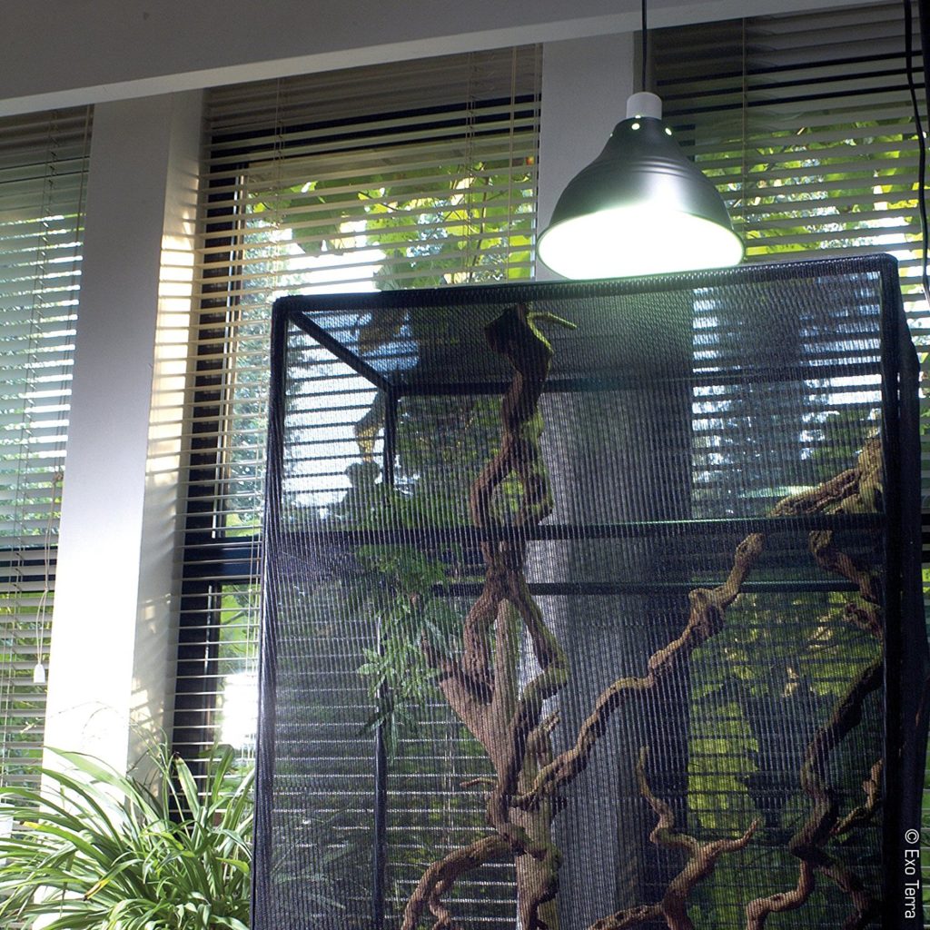 Comparatif des 10 meilleurs flexariums | Le Meilleur Avis