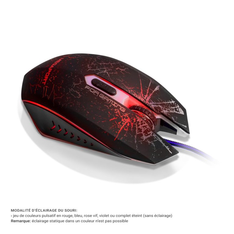 Megaport – Test et avis | Le Meilleur Avis