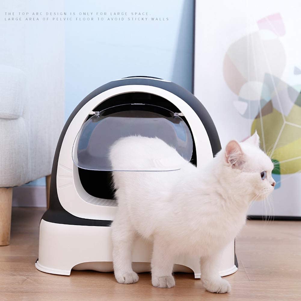 Pan Belle GLY – Test et avis | Le Meilleur Avis