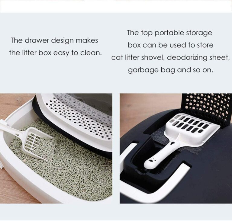 Pan Belle GLY – Test et avis | Le Meilleur Avis