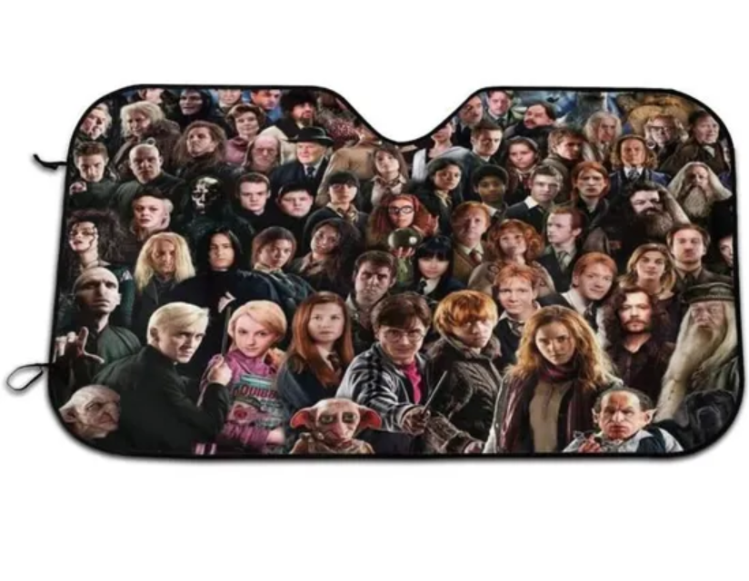 Comparatif des 10 meilleurs Pare-soleils voiture de 2023 | Le Meilleur Avis